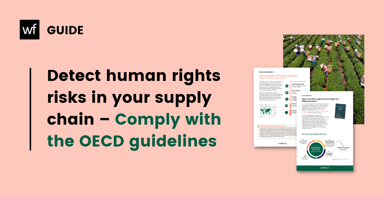 Guide: Detect human rights risks in your supply chain – Comply with the ...