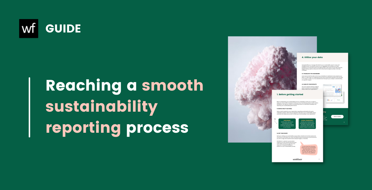 Guide: Reaching a smooth sustainability reporting process