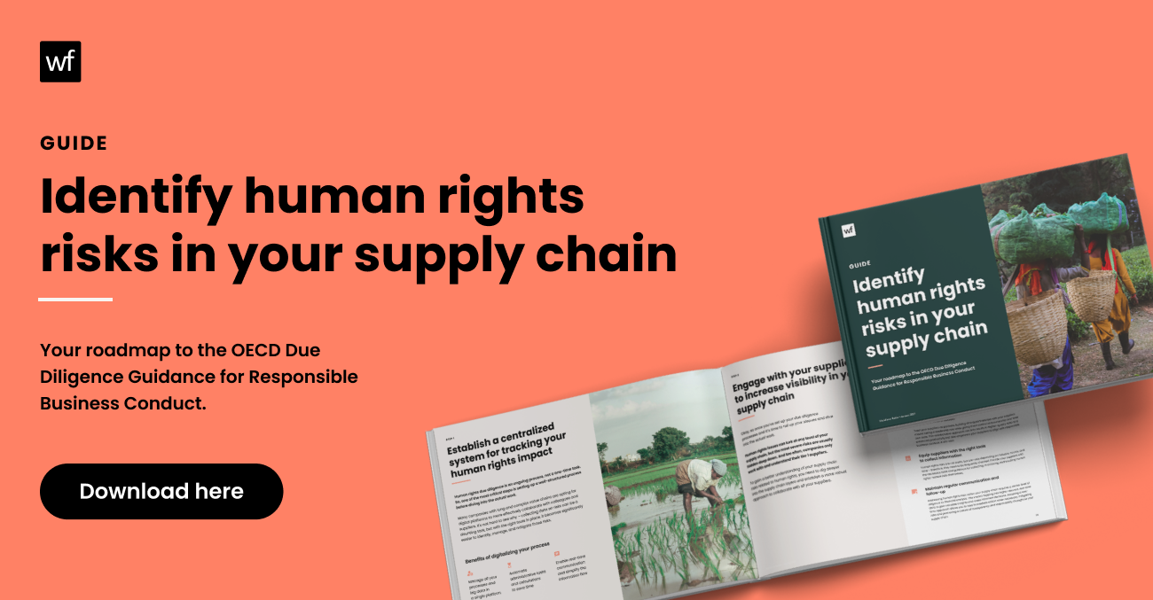 Guide: Detect human rights risks in your supply chain – Comply with the ...