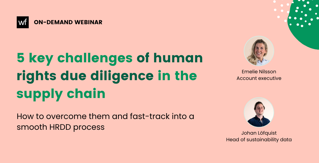Webinar: 5 key challenges of human rights due diligence in the supply chain
